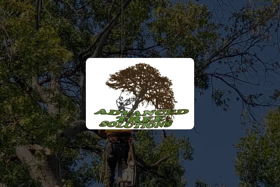 Tree Trimming Services Rockville, IN | 10% Veterans, Senior Citizens ...